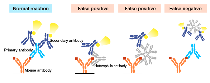 Main causes of non-specific reactions
